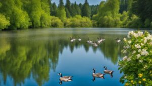 Spring Animals: A Guide to Seasonal Wildlife