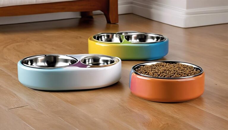 15 Best Cat Food Bowls to Keep Your Feline Friend Happy and Healthy - A ...