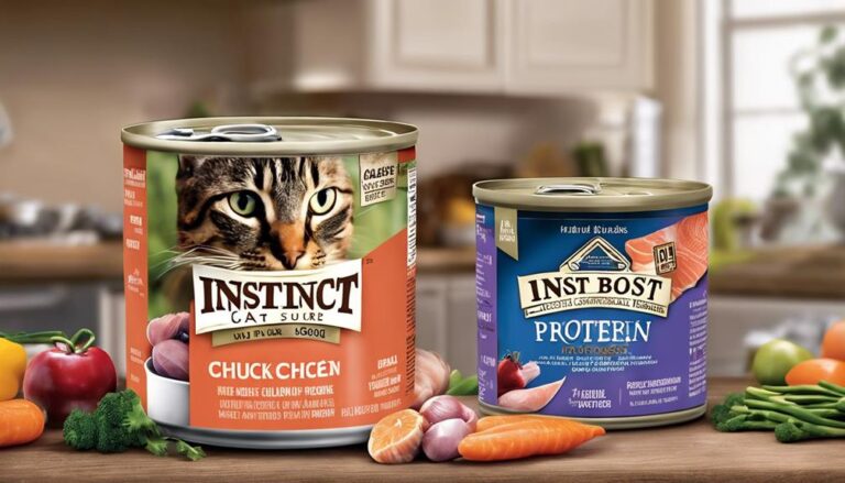 Best Raw Food for Cats: A Comprehensive Guide - A Place for Animals