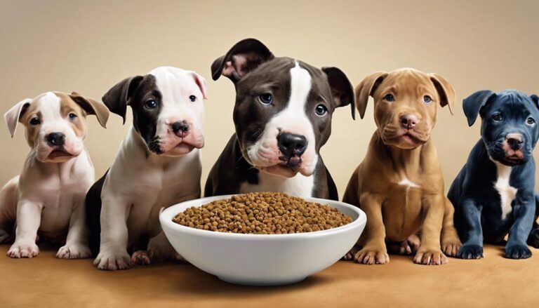 15 Best Pate Cat Foods Your Feline Friend Will Love - Top Picks for ...