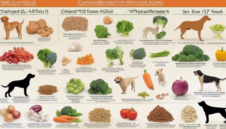 Ultimate Raw Food Diet Chart for Dogs - A Place for Animals