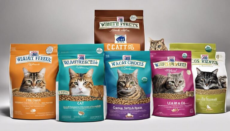 15 Best Tasting Dry Cat Foods That Your Feline Will Love - Top Picks & Reviews - A Place for Animals