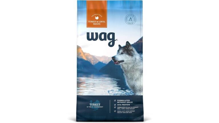 15 Best Tasting Dry Cat Foods That Your Feline Will Love - Top Picks ...