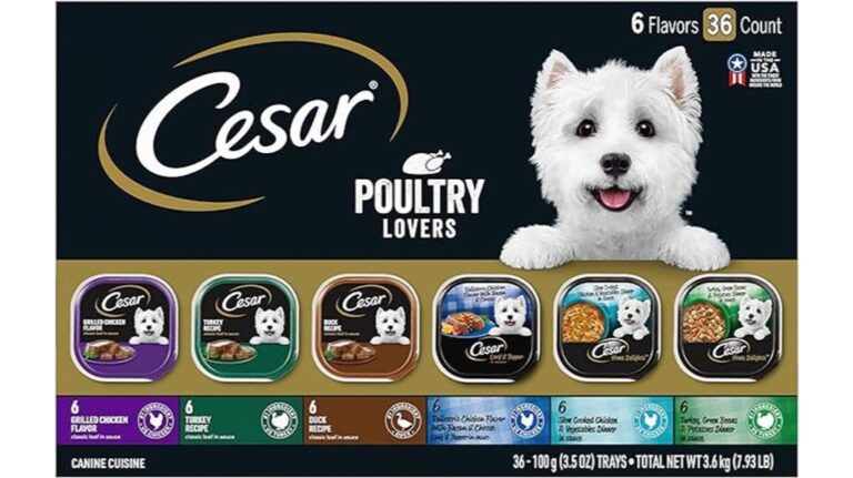 15 Best Affordable Wet Cat Foods That Won't Break the Bank - A Place ...