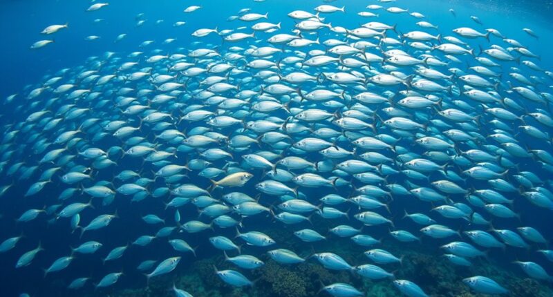 Animal Playtime: Why Play Behavior Is Important in the Wild and at Home ...