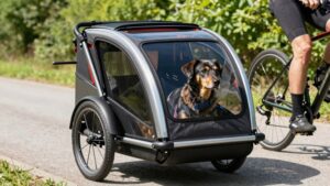 15 Best Dog Bike Trailers for Medium-to-Large Dogs in 2026 - A Place ...