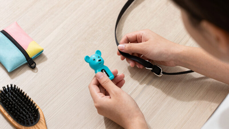 14 Best Dog Training Clickers for Positive Reinforcement in 2026 - A ...